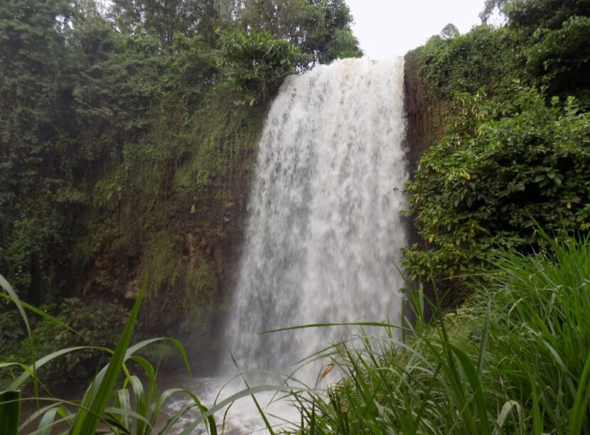 Discover Kirinyaga